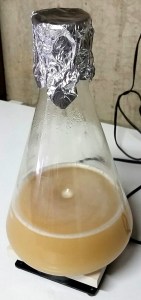 Seven Seas Session IPA | Andy's Brewing Blog