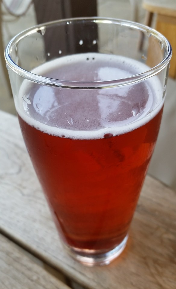 Beer Tasting: Raspberry Belgian | Andy's Brewing Blog