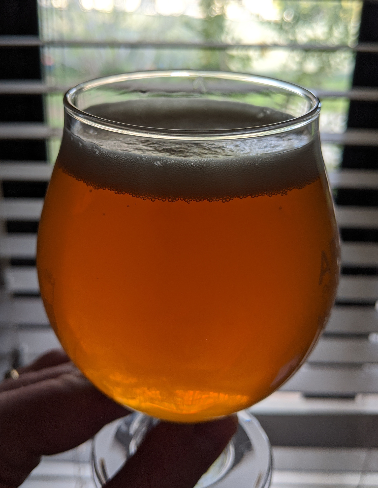 Wildfire IPA | Andy's Brewing Blog