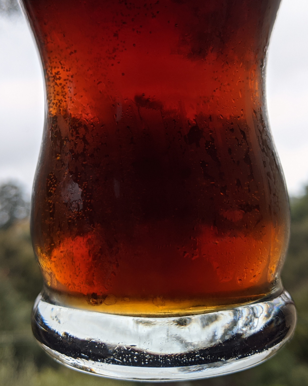 Czech-Style Dark Lager | Andy's Brewing Blog