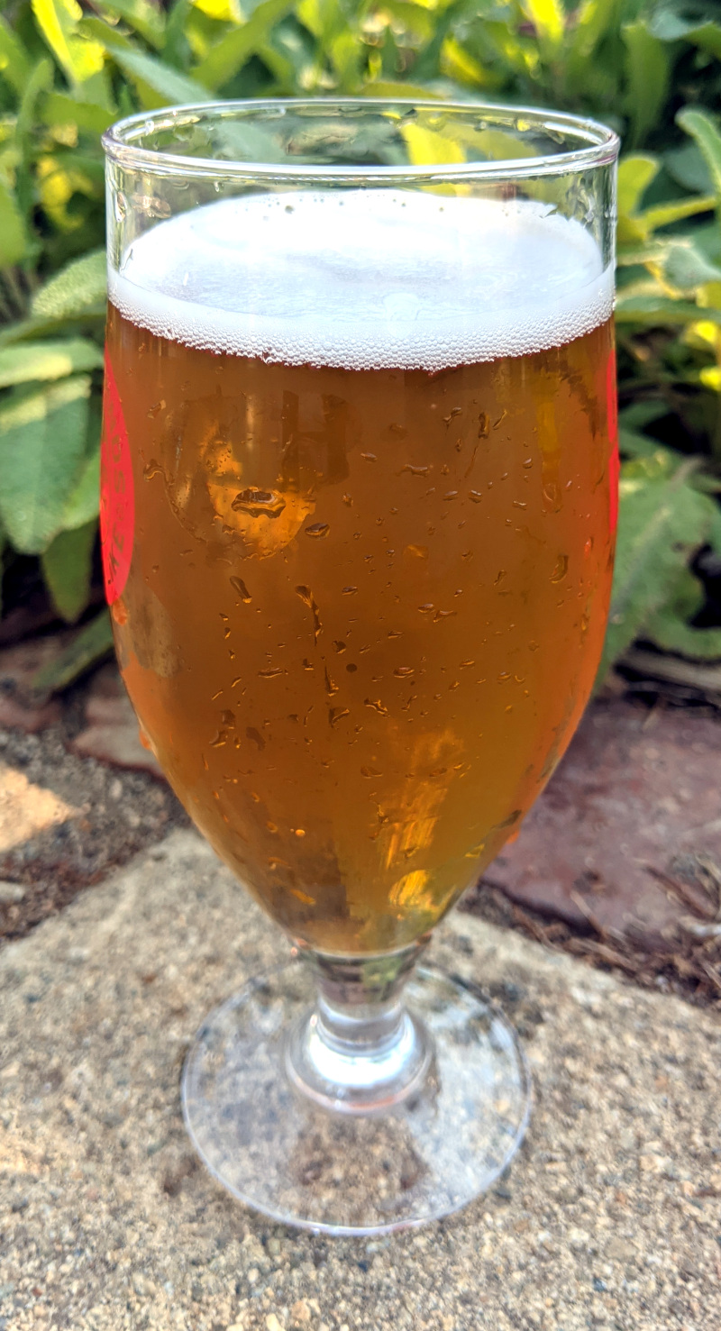 Historical(ish) Vienna Lager | Andy's Brewing Blog