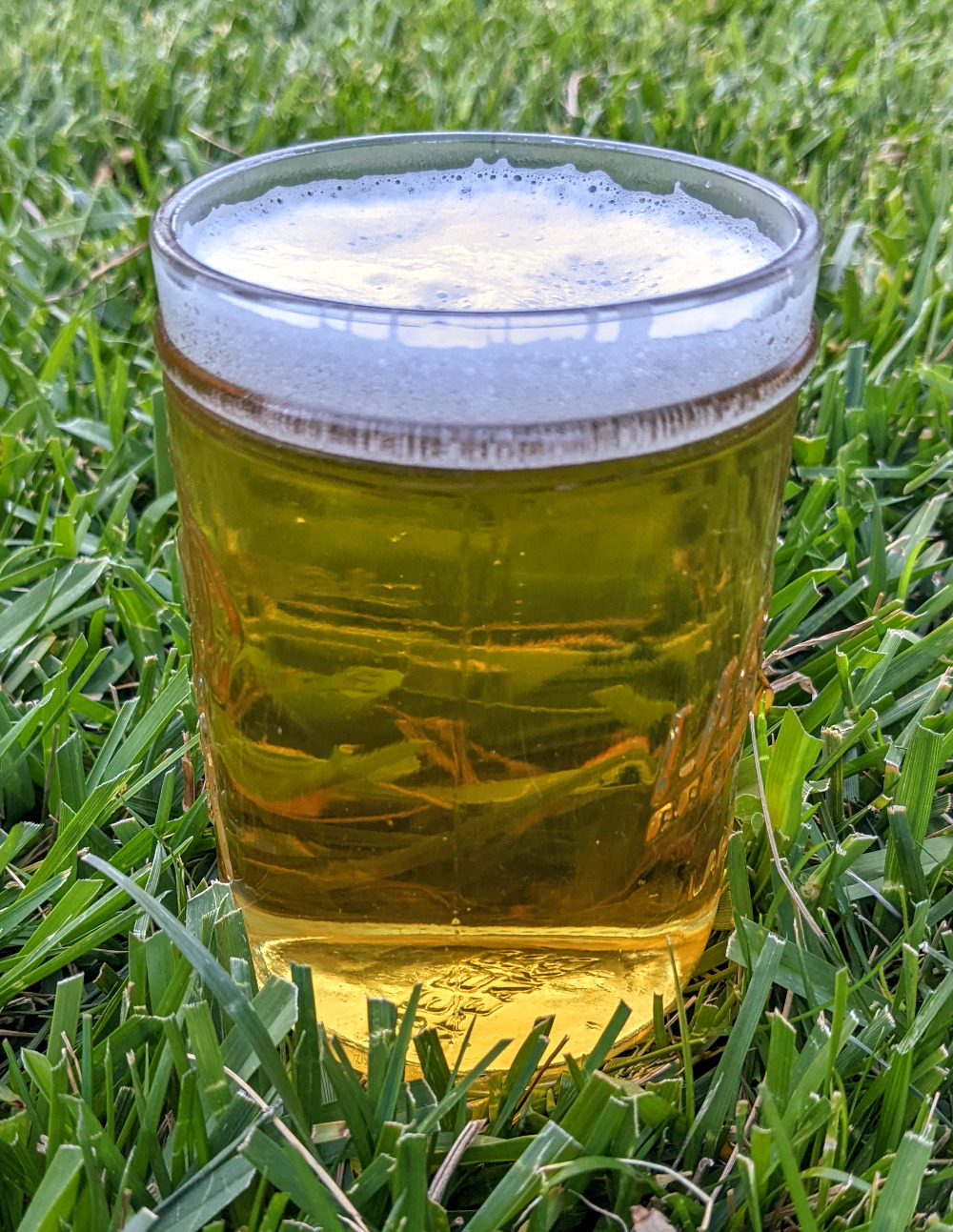 Pre-Prohibition Lager | Andy's Brewing Blog