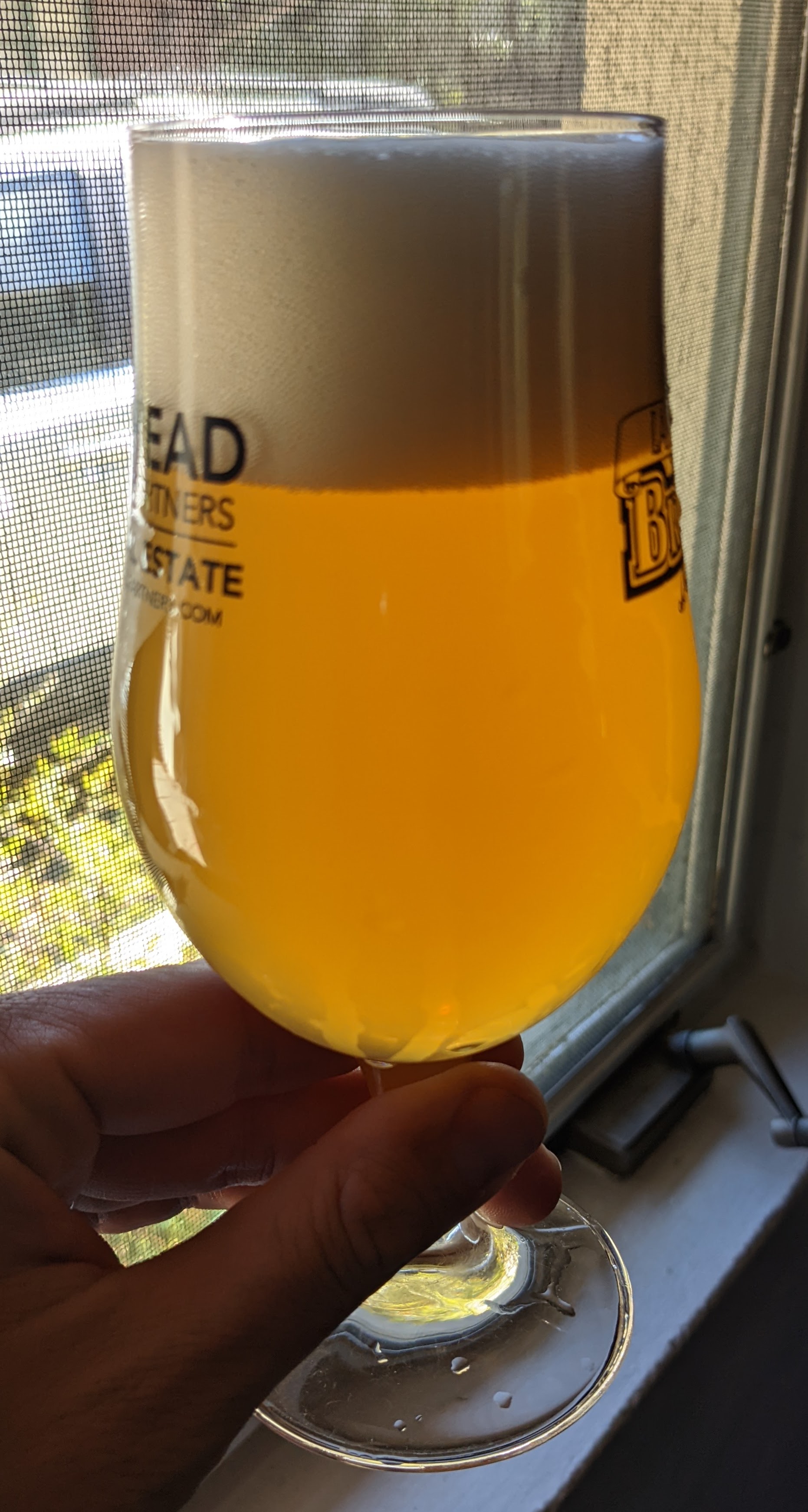 Big Hop Summer IPA | Andy's Brewing Blog