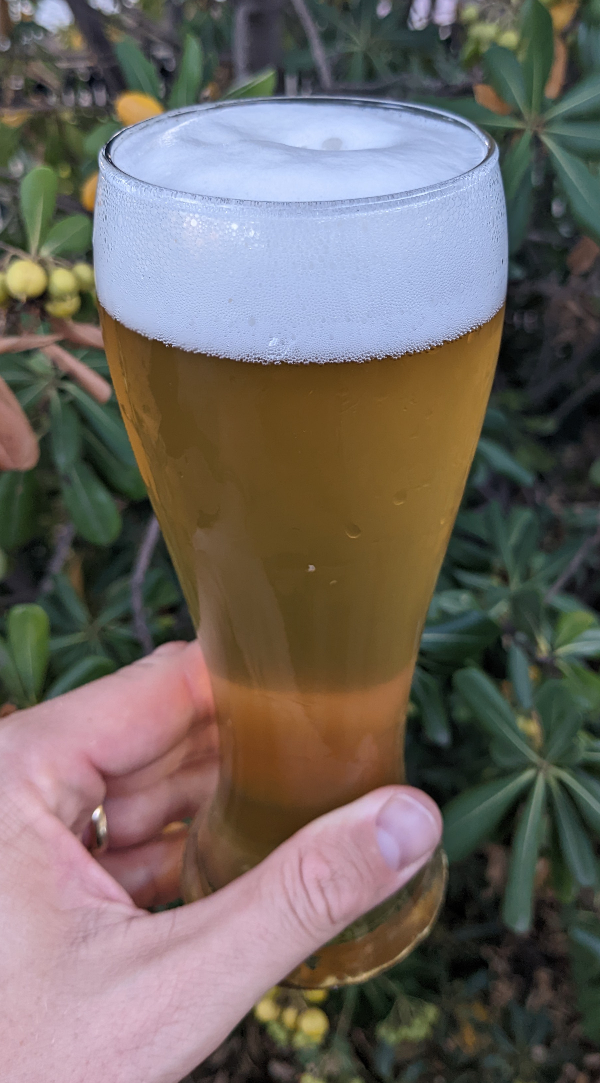 Belgian Wit | Andy's Brewing Blog