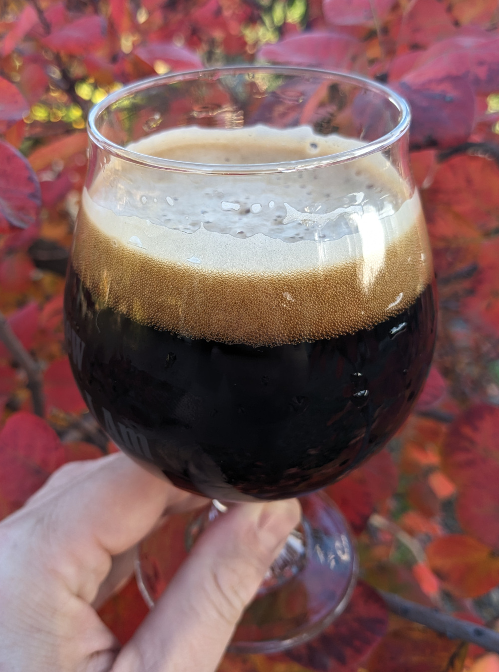 Deep Space Imperial Stout | Andy's Brewing Blog