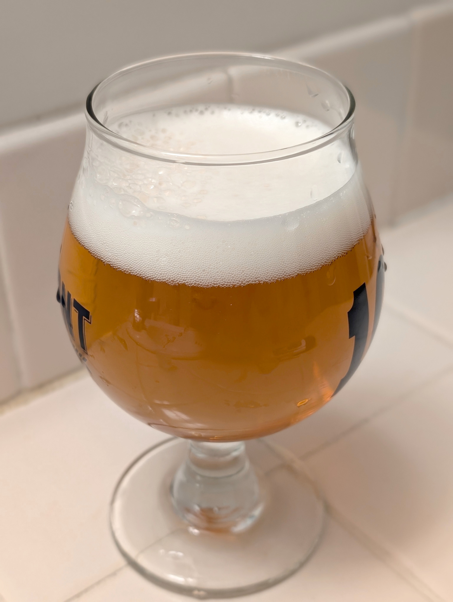 Unruly Gnome Belgian Blond Ale | Andy's Brewing Blog