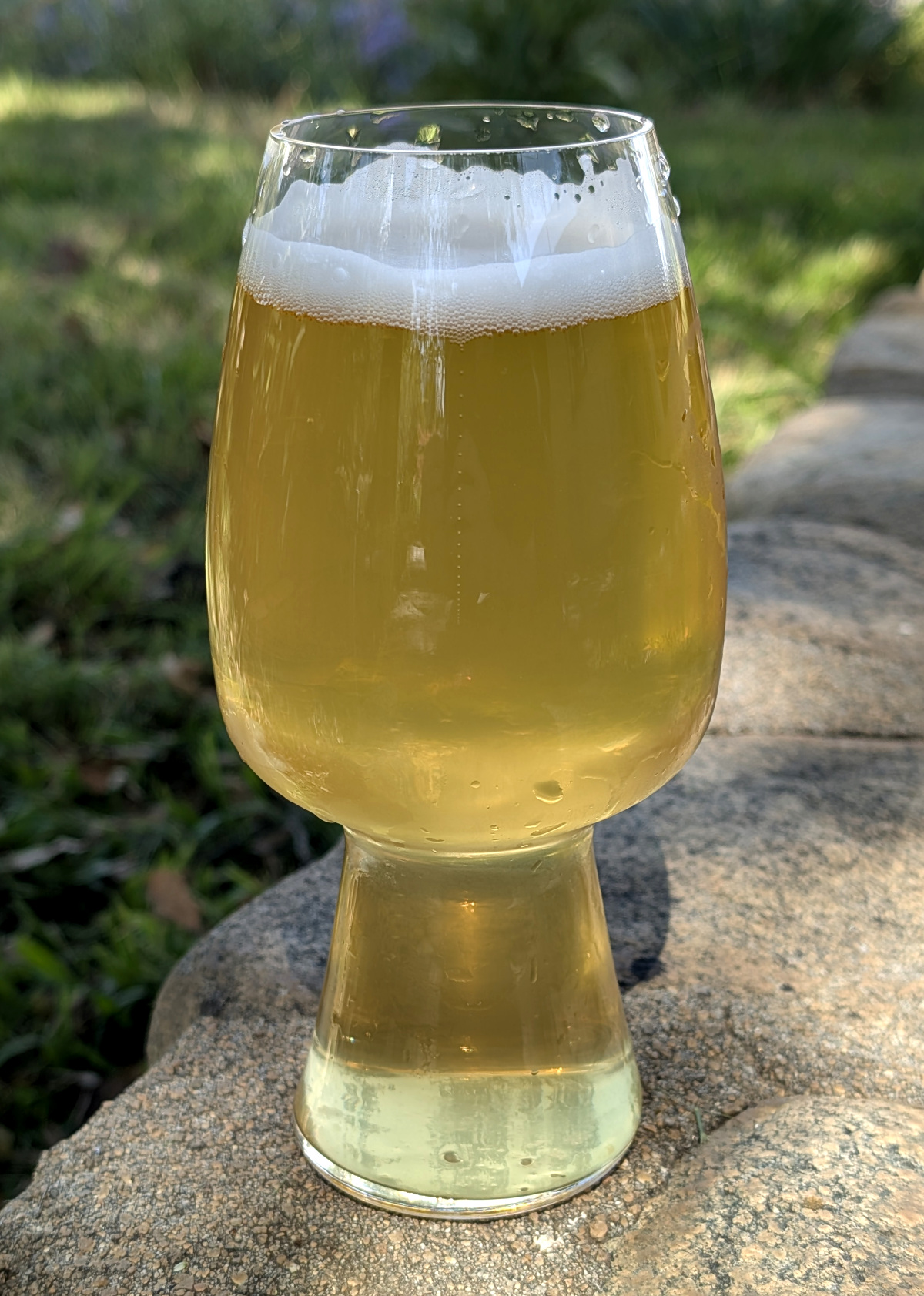 Otter-Squatch Wheat Ale | Andy's Brewing Blog